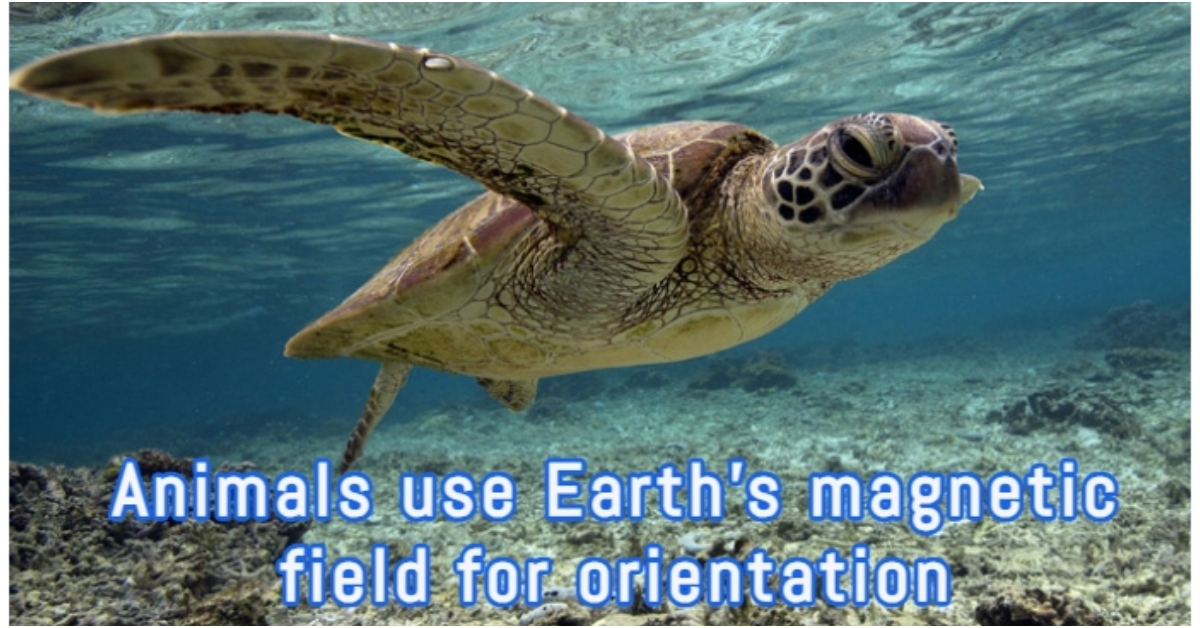 27 Science Facts That Will Make You Question Everything